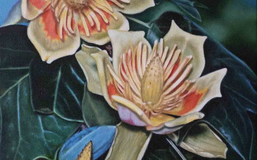 Allison Edge - Toe River Arts